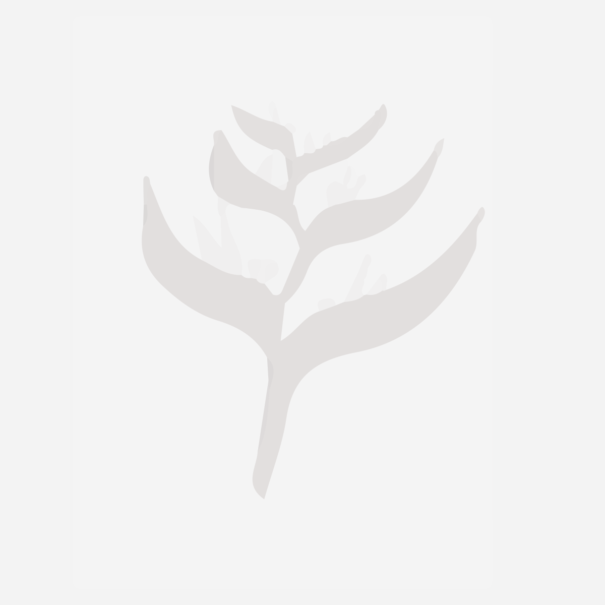 Pro Membership – Margo Garden Products