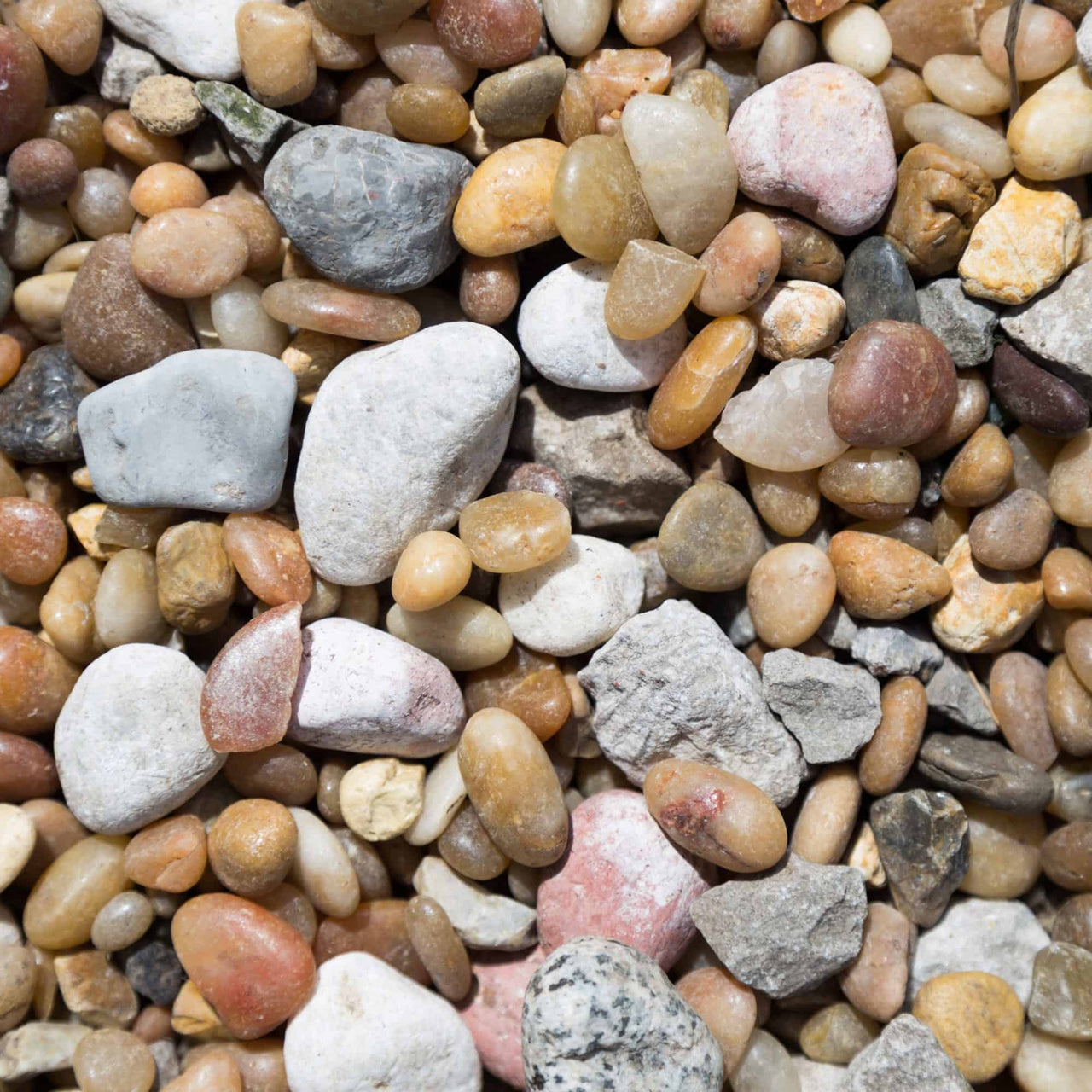 Rain Forest Commodity Pond Pebbles – Margo Garden Products